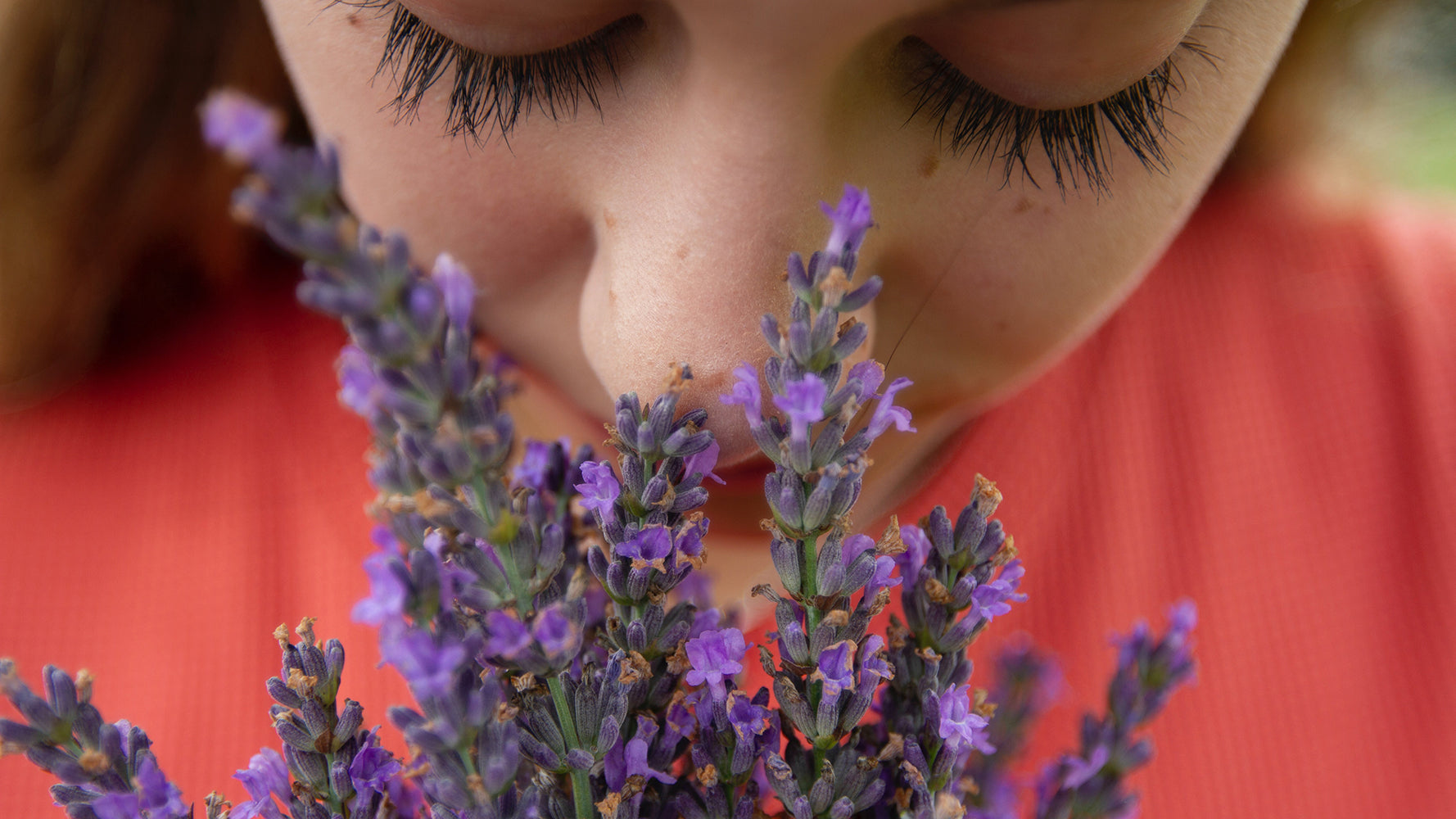 How does smell influence our brain? | The Oil Stories Our Blog blog